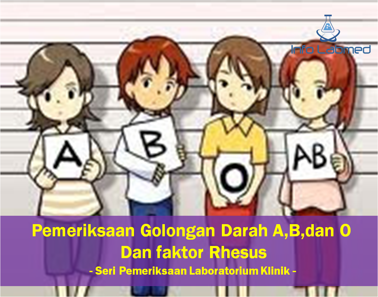 Pemeriksaan Golongan Darah A,B,dan O Dan faktor Rhesus | Seri Edukasi ...