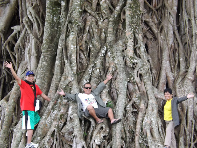 PHILIPPINES CENTURY TREE INHABITED BY THE SPIRITS?? COOL WATERS OF ...