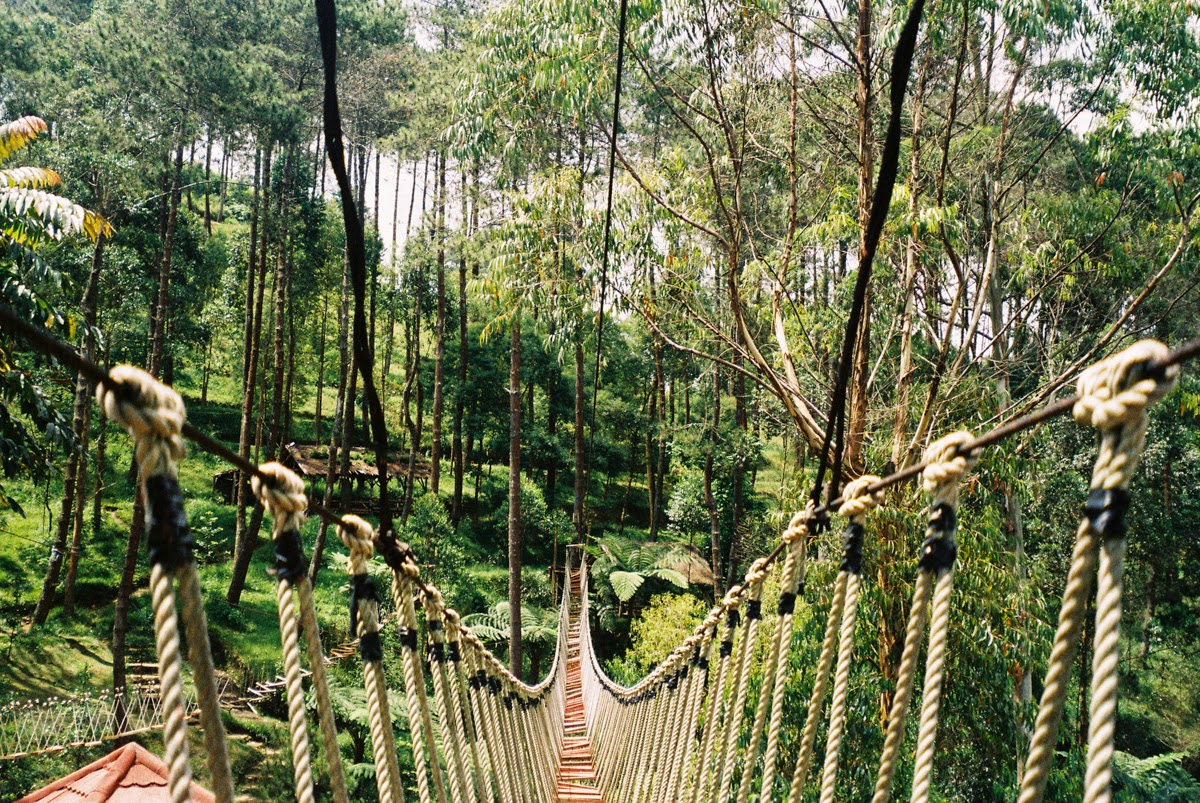 talefed: Explore Bandung