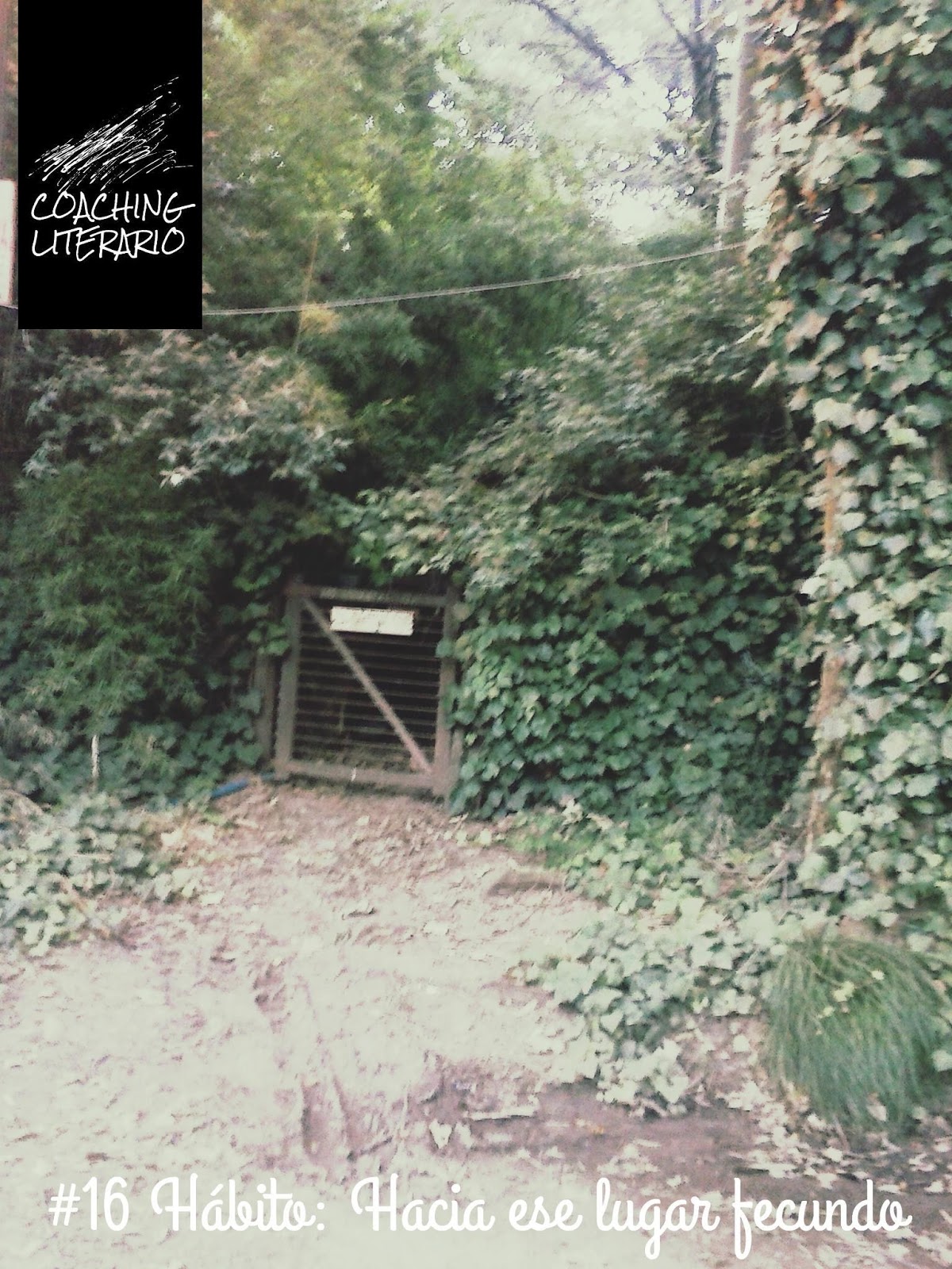 Coaching Literario: #16 Hábito: Hacia ese lugar fecundo