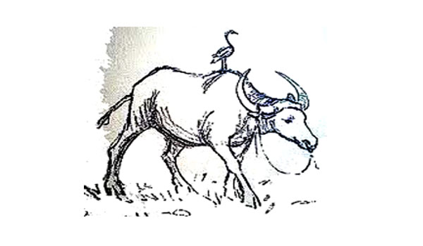 Ang Kalabaw at ang Tagak - ISTORYAHENG PINOY