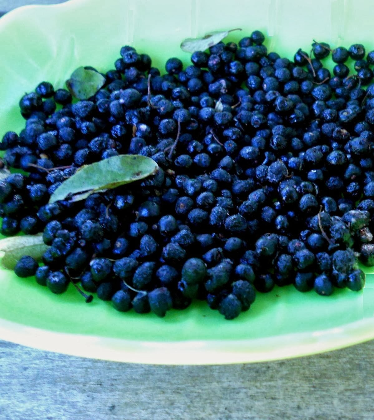 Cocina Chilena . Recetas Caseras: Cheesecake de berry maqui