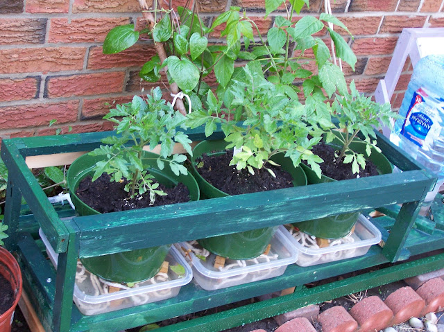 The Ideas and Inventions of Isabelo "Billy" Marquez: HOMEMADE AUTOMATIC ...