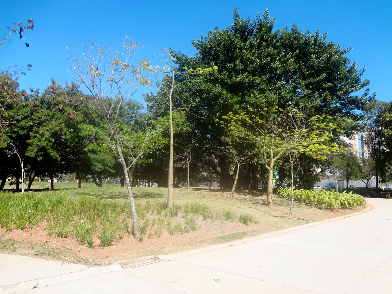 Parque Belém ou Manoel Pitta em São Paulo ~ Áreas Verdes das Cidades ...