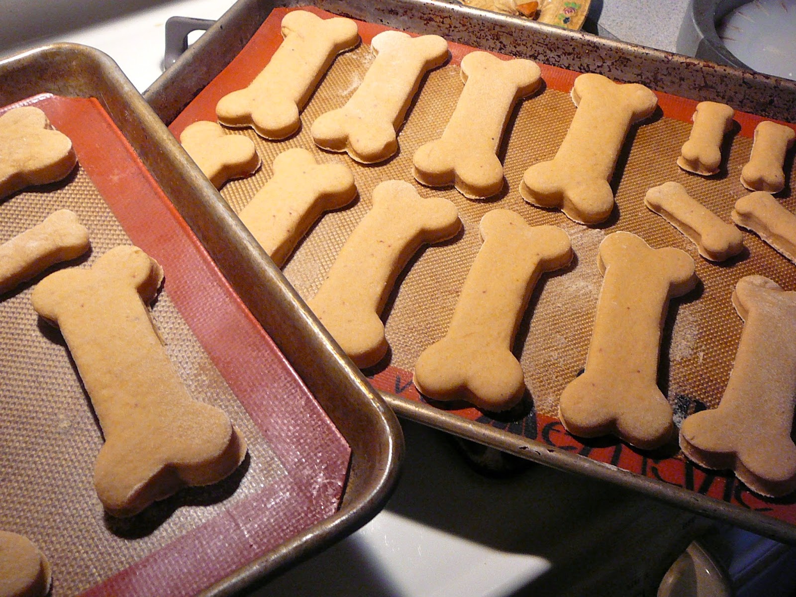 The Hidden Pantry: Baking Peanut Butter and Bacon Treats for Our Dog Molly