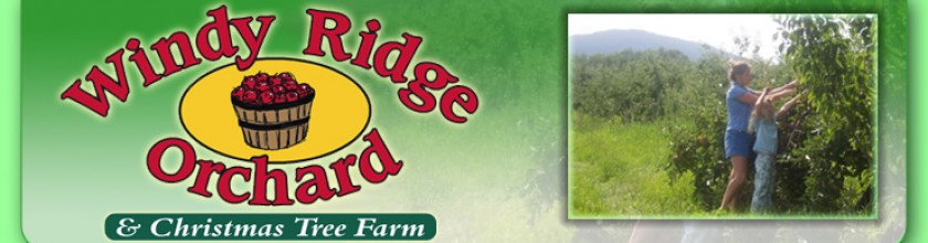 White Mountains Adventure Concierge: Windy Ridge Story Hour 2012