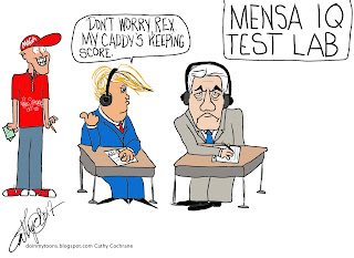 DoinMyToons: IQ Test