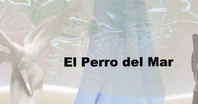 Republic of Jazz: El Perro Del Mar debuts video for her first song in ...