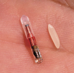 Mark of the Beast 666: Dean Cain Microchip RFID all Americans