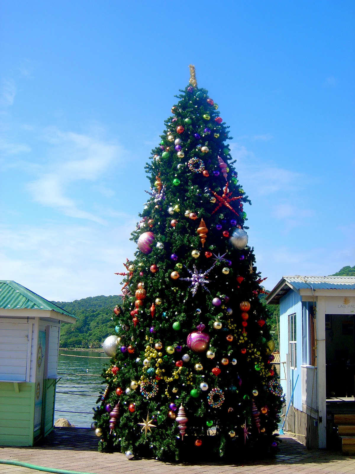 S/v Espiritu: Diary of a Wimpy Cruiser: A bittersweet "Merry Christmas ...
