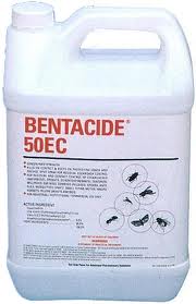 Satwa Medika Poultry: Harga