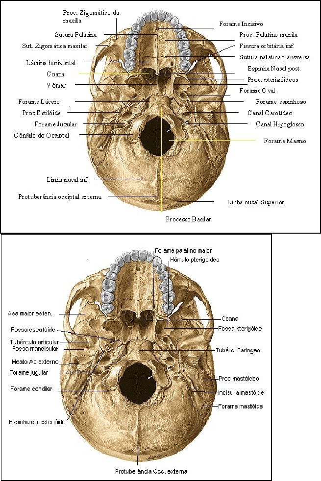 Radiologia nota 10 é aqui Desde 2010