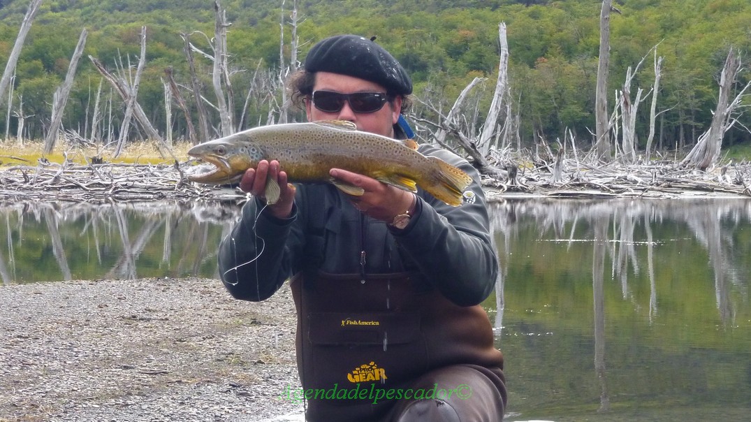 Agenda del Pescador: El CASTOR en su castorera