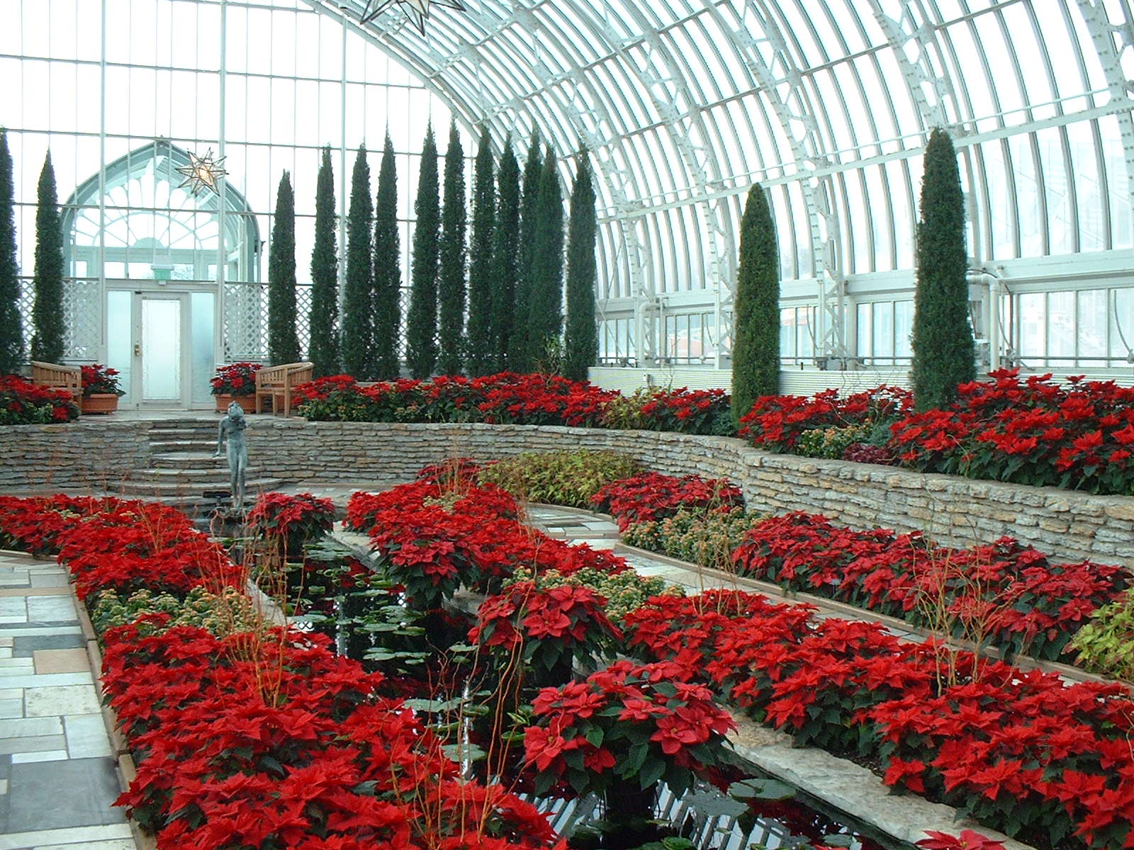 Dan Nissen: My favorite roses