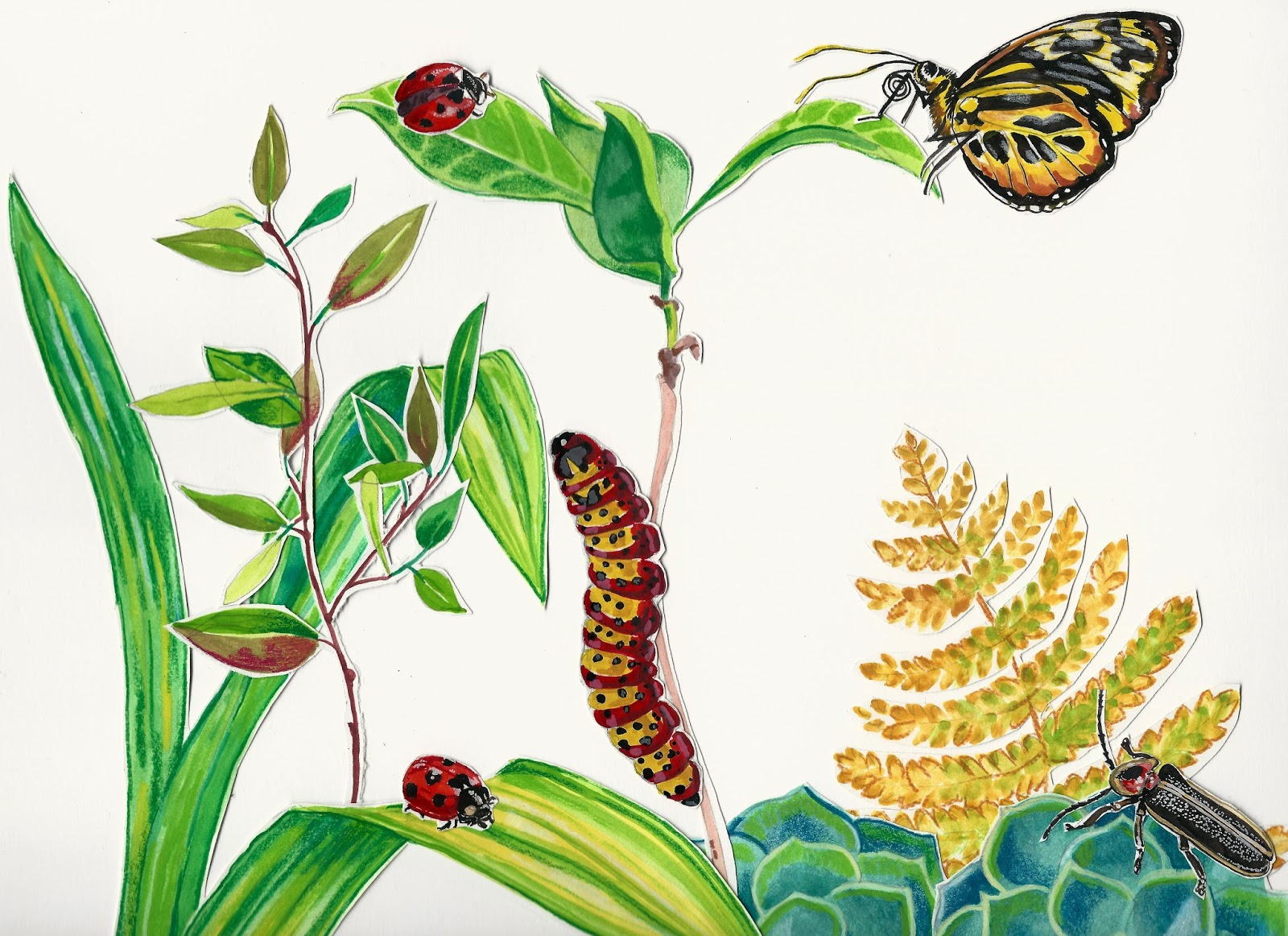 Sketchpot: Insect Garden