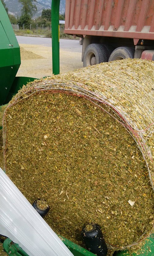 Silage Almopias: Corn Silage