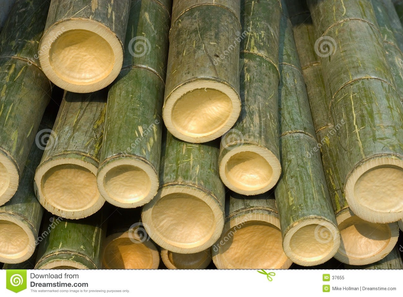 Muebles de Bambú: Introducción