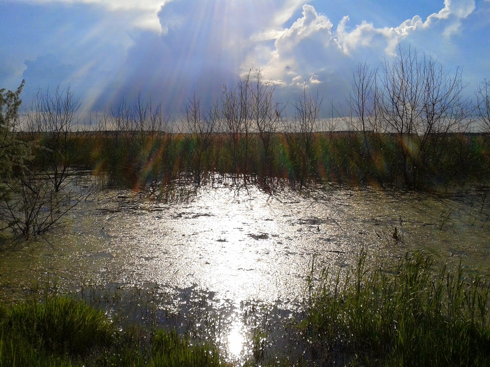 Poze Imagini Desktop: Imagini frumoase natura