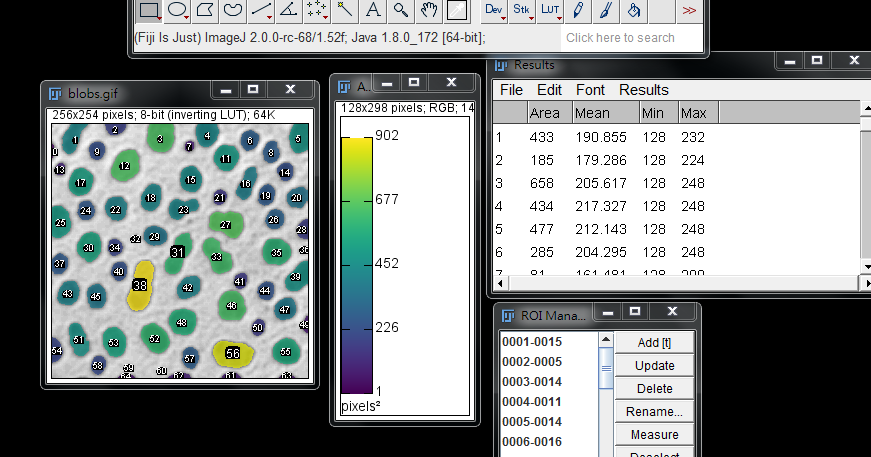 阿簡生物筆記: 使用imagej用色彩標註ROI Color Coder
