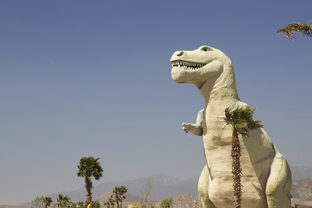 Amazing Animal Shaped Buildings in The World