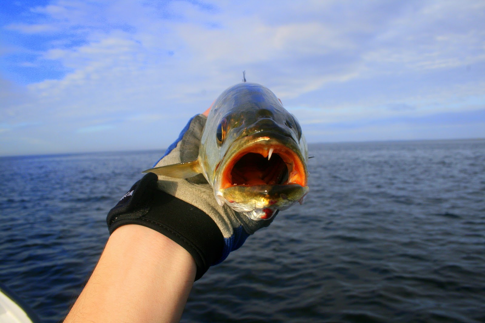 Florida Gheenoe Fishing: First Solo Trip in the Gheenoe