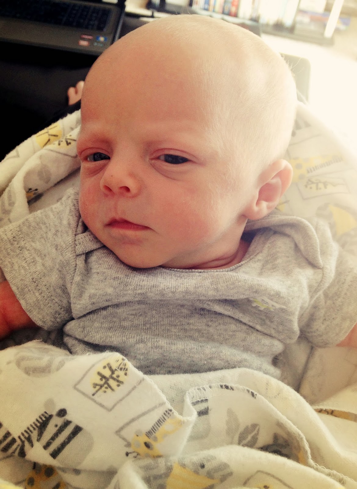 shannonigans is now shannon's scribbles!: March 2014