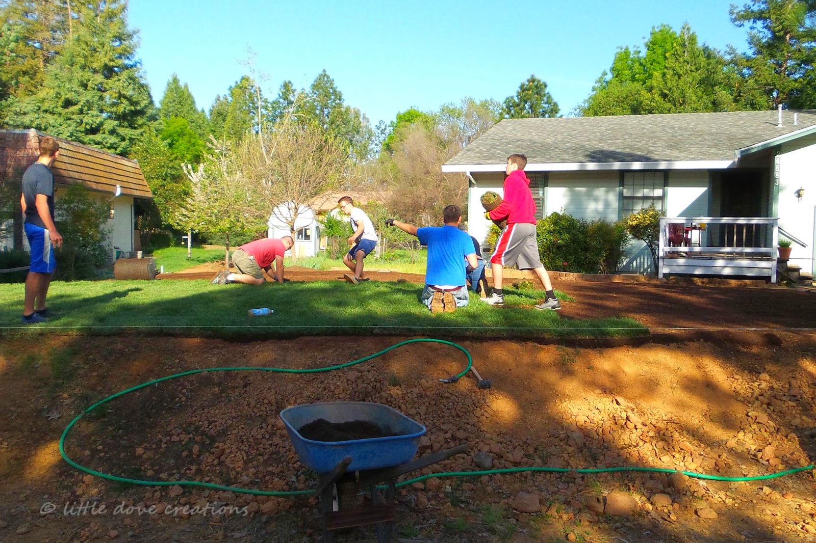 Little Dove Creations: yard reveal: phase 1