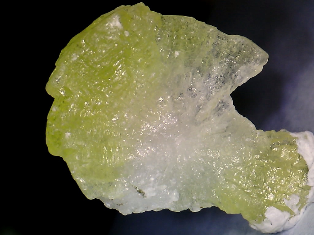 CSMS GEOLOGY POST: BRUCITE: EXPLORING TUCSONS SHOWS