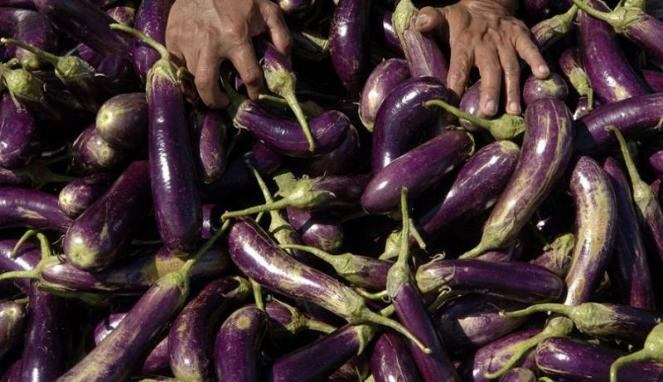 kesehatan: manfaat terong ungu