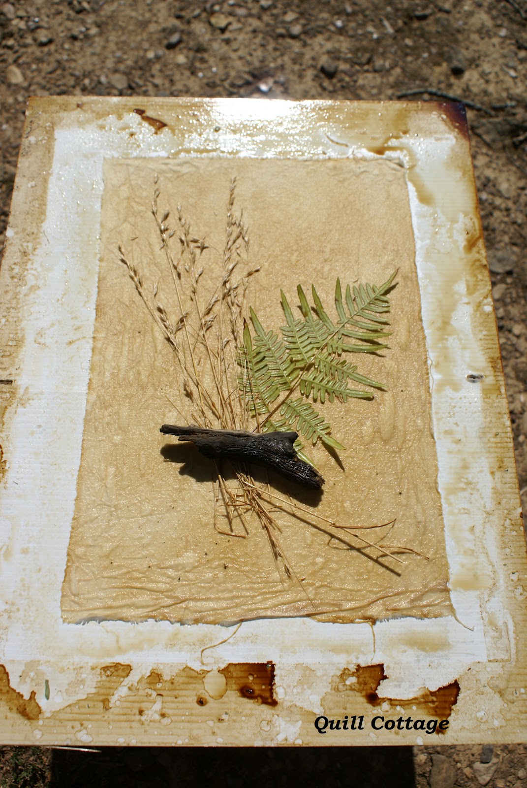 Quill Cottage: SUN PRINTING FABRIC WITH COFFEE AND NATURE ELEMENTS...