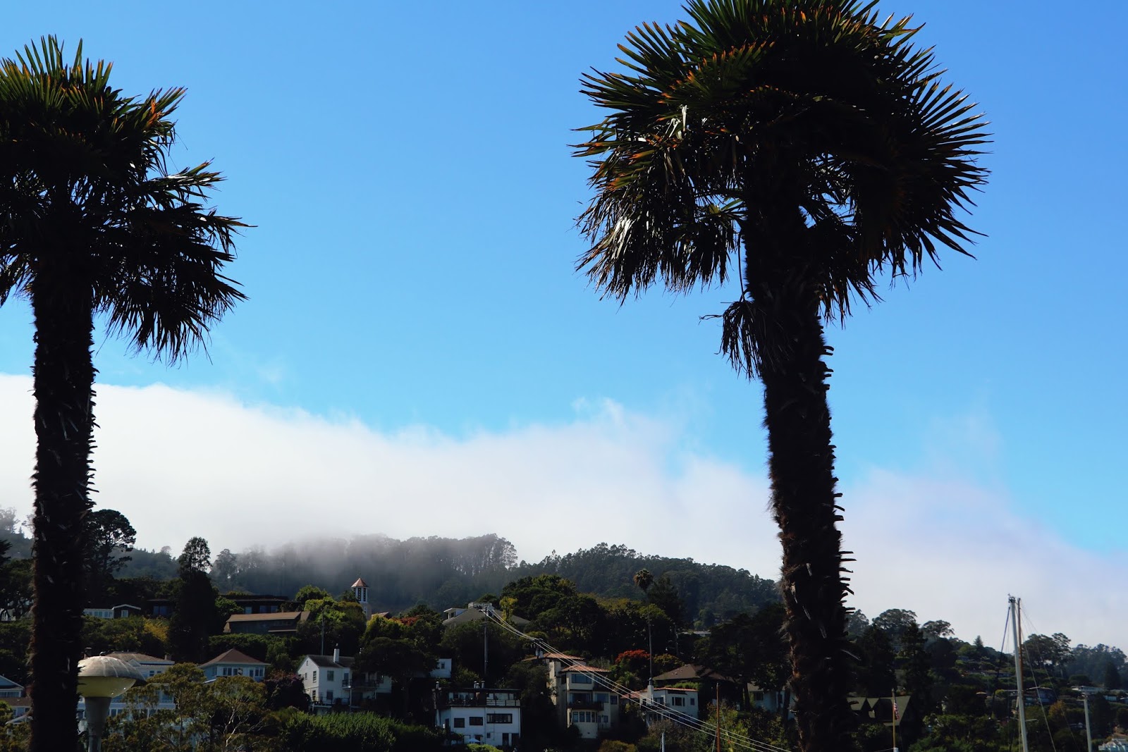 The Shipra Travel Diaries: San Francisco, California | The Shipra Diaries