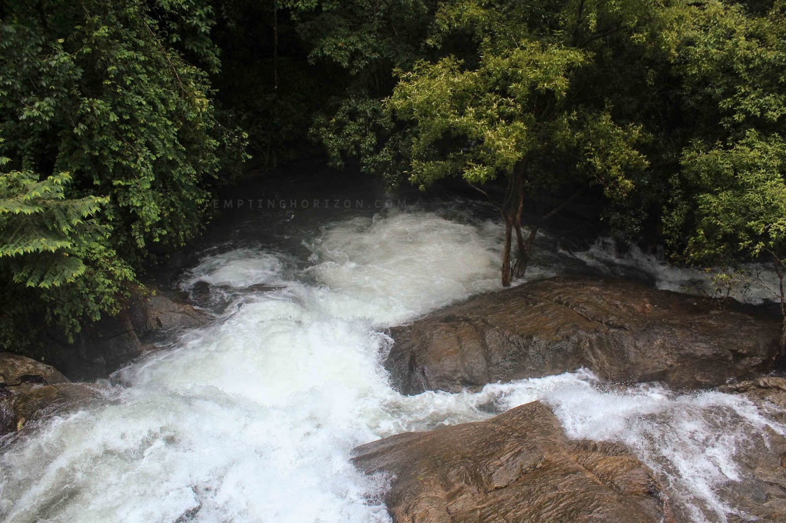 Monsoon Drive to Athirappilly Falls! - TEMPTING HORIZON