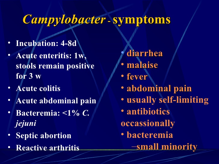 medica world: Antibiotic for infection Campylobacter enterocolitis and ...