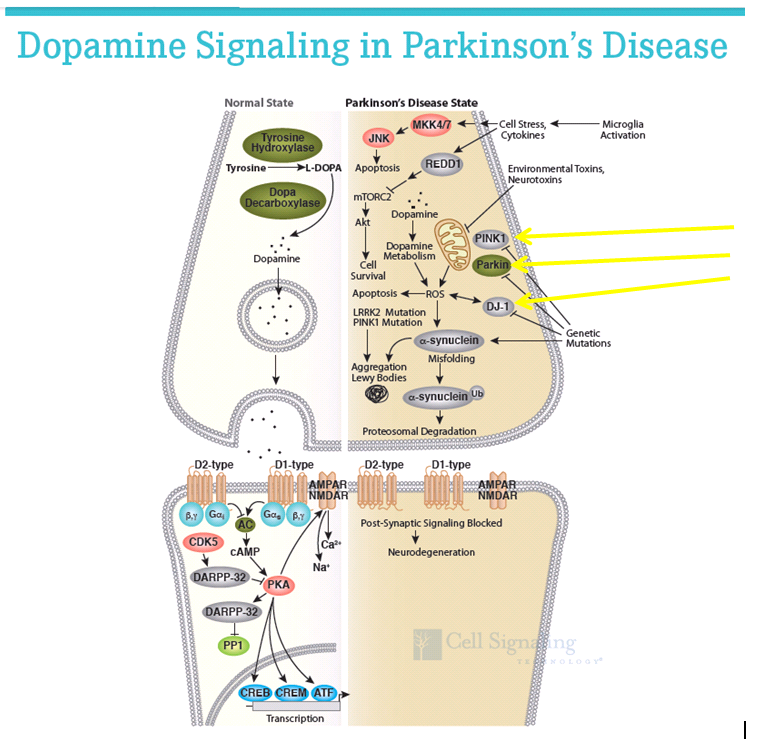 Epiphany: November 2014