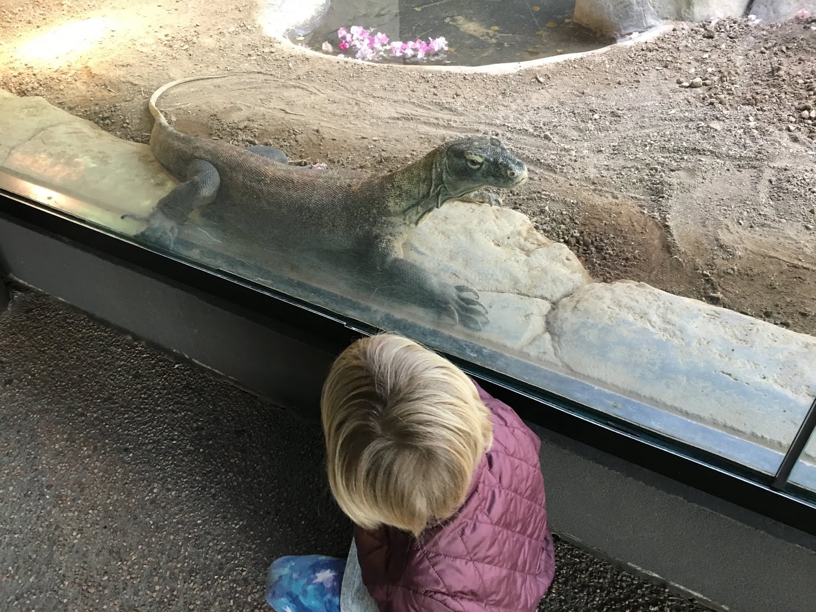 TeacherDance: Non-Fiction Picture Books - Women's History