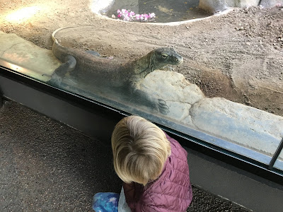 TeacherDance: Non-Fiction Picture Books - Women's History