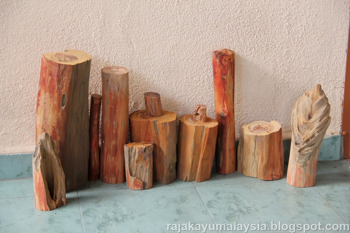 Raja Kayu Malaysia: Raja Kayu