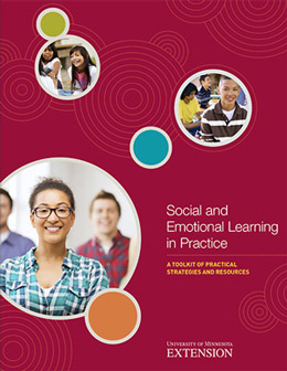 Social and Emotional Learning in Practice: A Toolkit of Practical ...