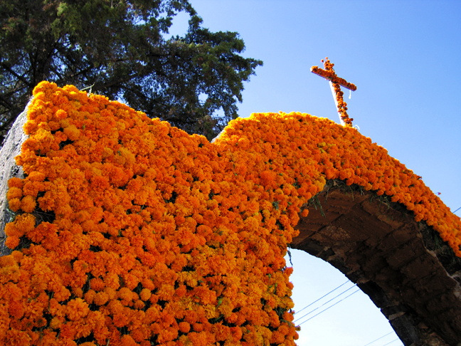 Boots n Burbs: BOTANICAL: Marigold