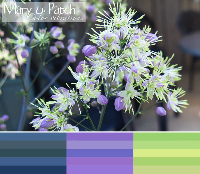 janvier 2014 | Mary & Patch