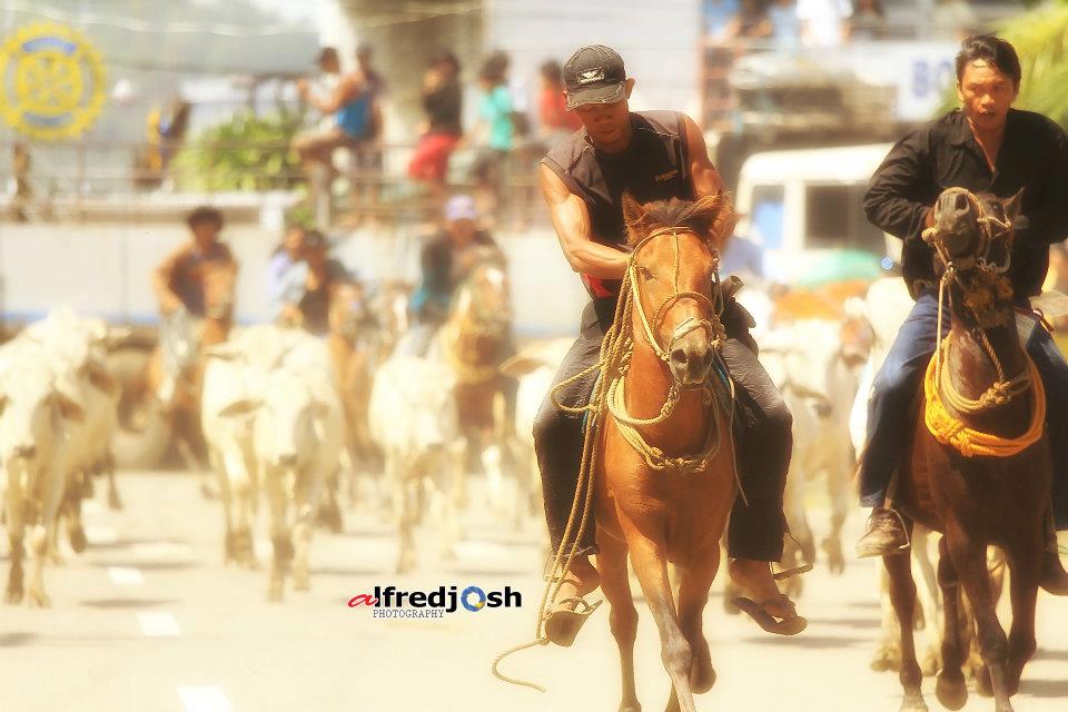 Byahero: Featured Photos | Rodeo Masbateño 2012: The Cattle Drive