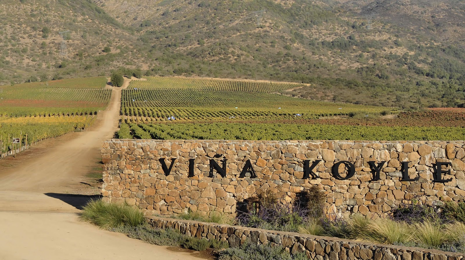 Inspiração Chilena - Koyle Royale Carménère 2009