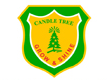 Candle Tree School