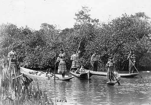Florida Everglades: Historic Pictures of Everglades