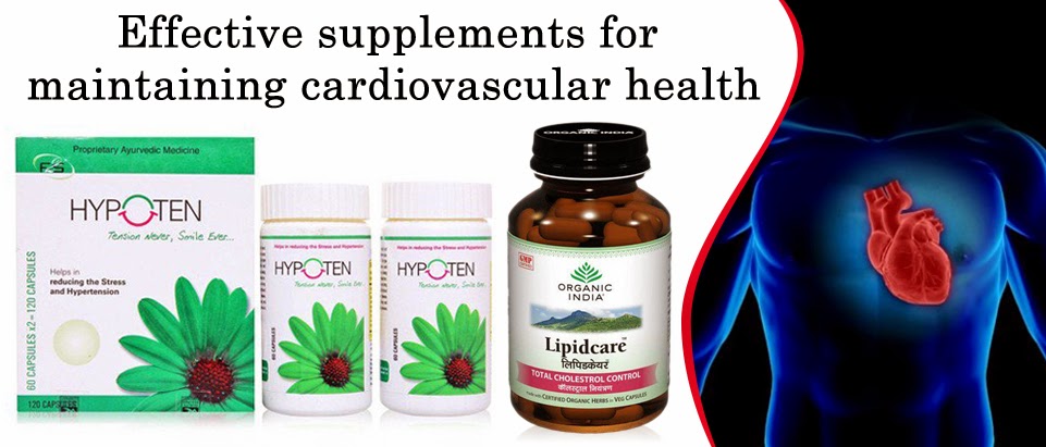Dietkart Blog: Effective Supplements for Maintaining Cardiovascular Health