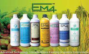 Pengertian Effective MicroOrganisme 4 (EM4)