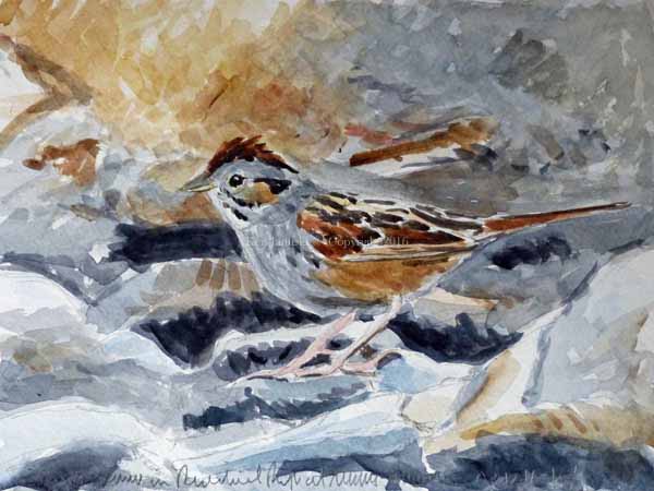 art, birds, nature: A Brush Painting, a Field Sketch, a Watercolor from ...