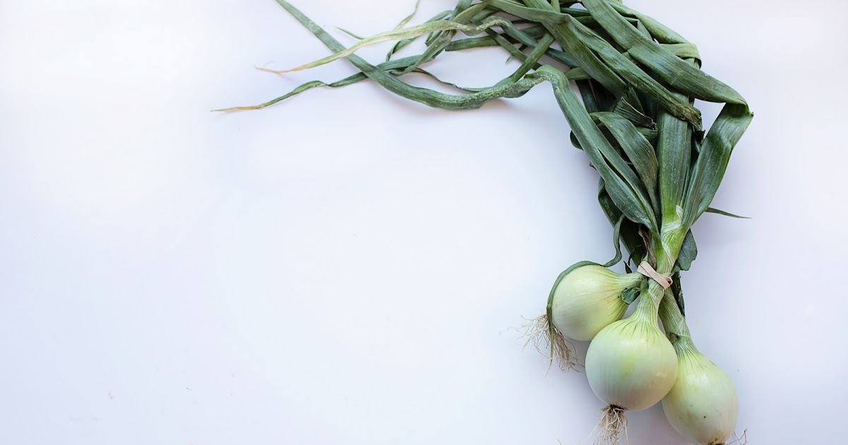 Origen de la Cebolla Perla - Gastro