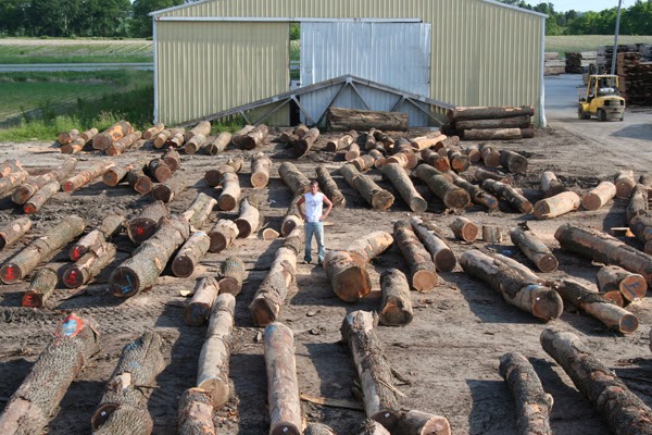 9 West Timber & Consulting