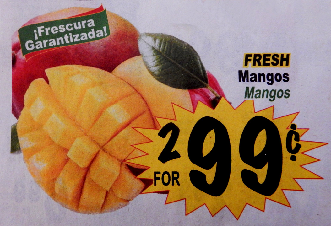 The 99 Cent Chef: Raspberries & Yogurt - Recipe Video